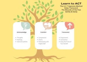 Wise Mind Hypnosis on Long Island